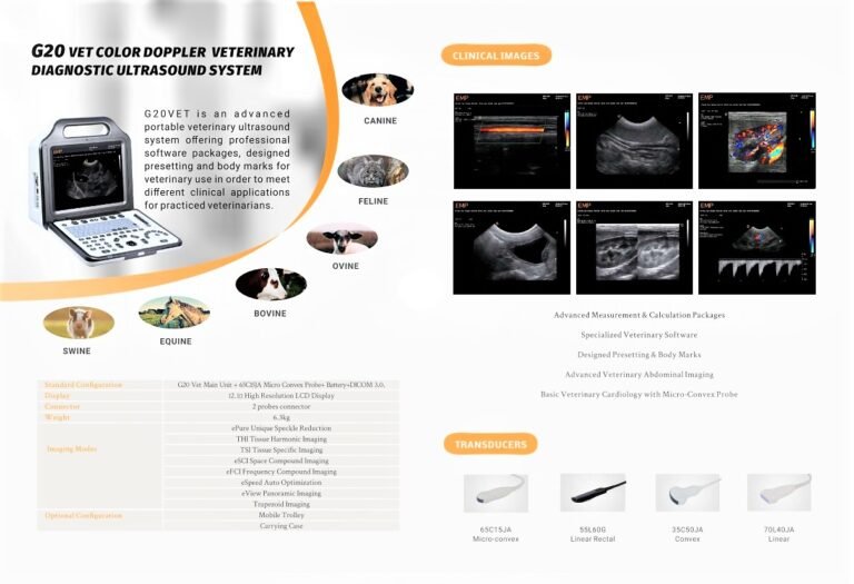 VET EMP G20 Color doppler - sonotech