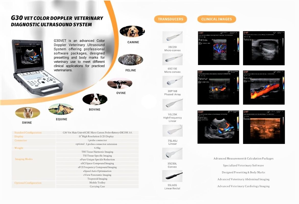 VET EMP G30 Color doppler - sonotech