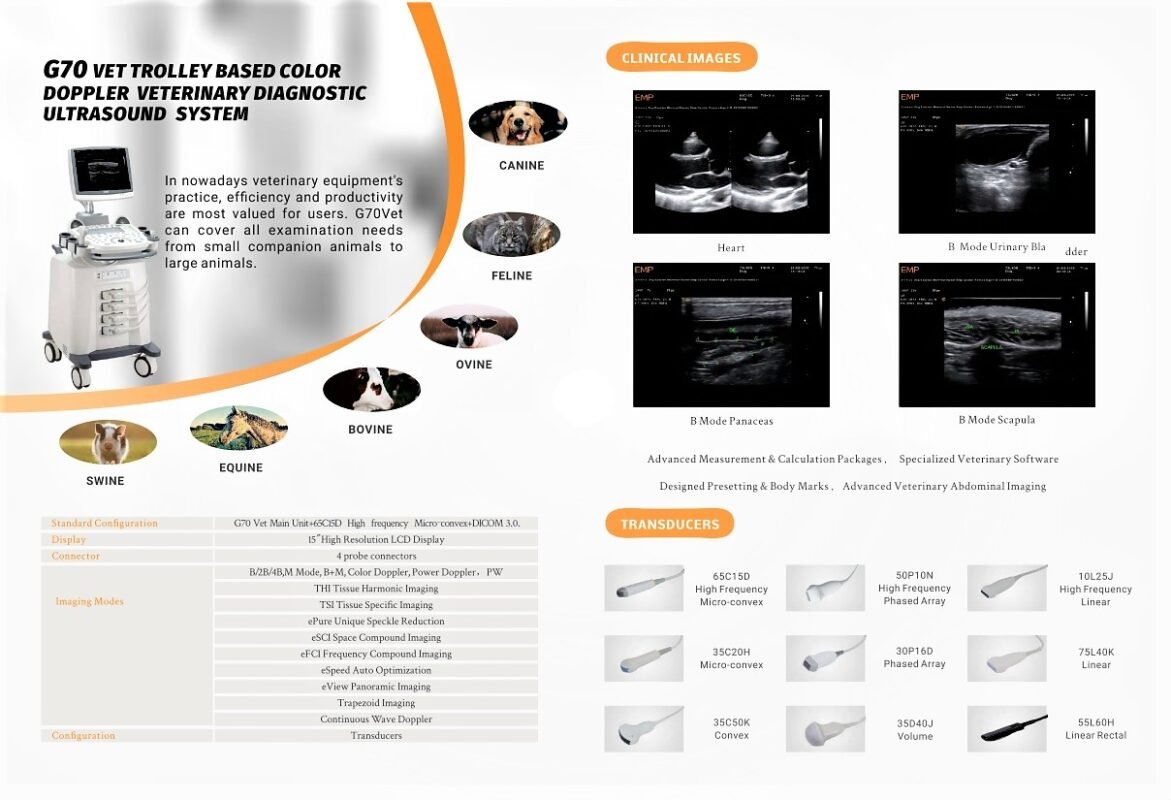 VET EMP G70 Color doppler - sonotech